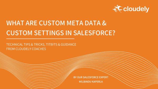 What are Custom Meta and Custom Settings in Salesforce? | Cloudely