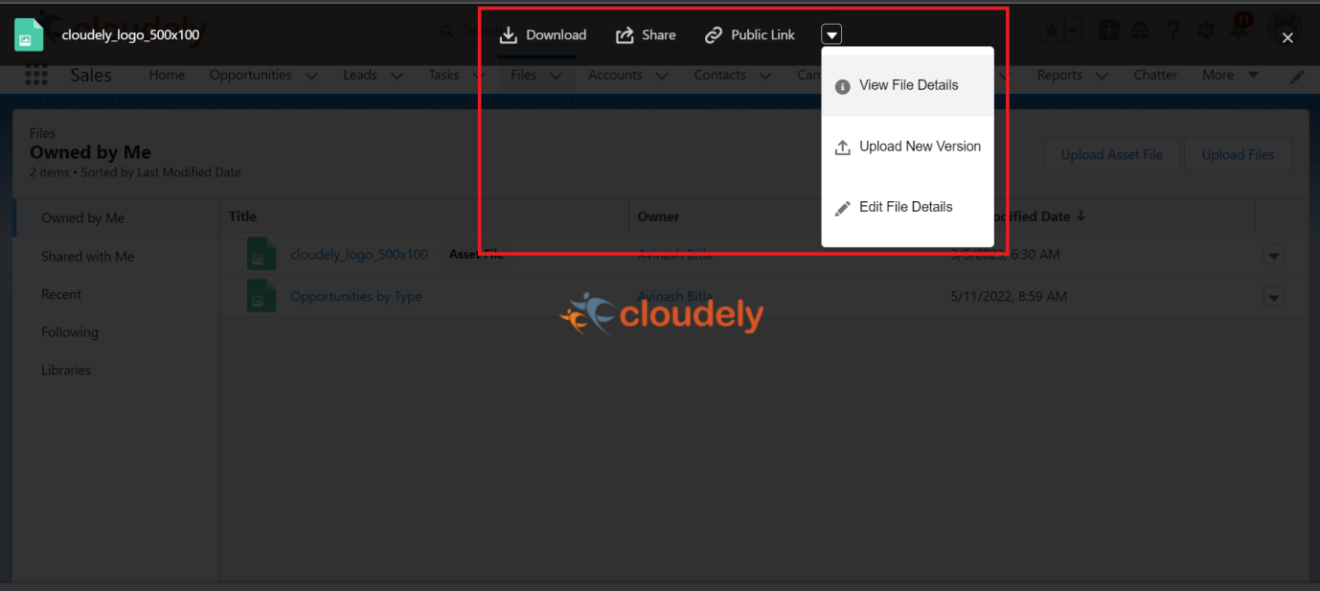 Salesforce Files Are Taking Over: Best Practices & Importance of Salesforce Files | Cloudely
